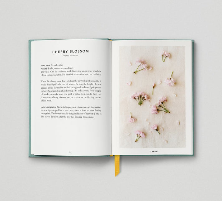 Hoxton Mini Press The Urban Forager – Nook